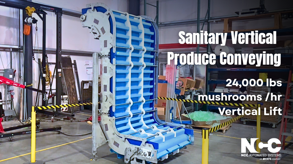 NCC Delivers High-Capacity Z-Incline Conveyor for Fresh Mushroom ...